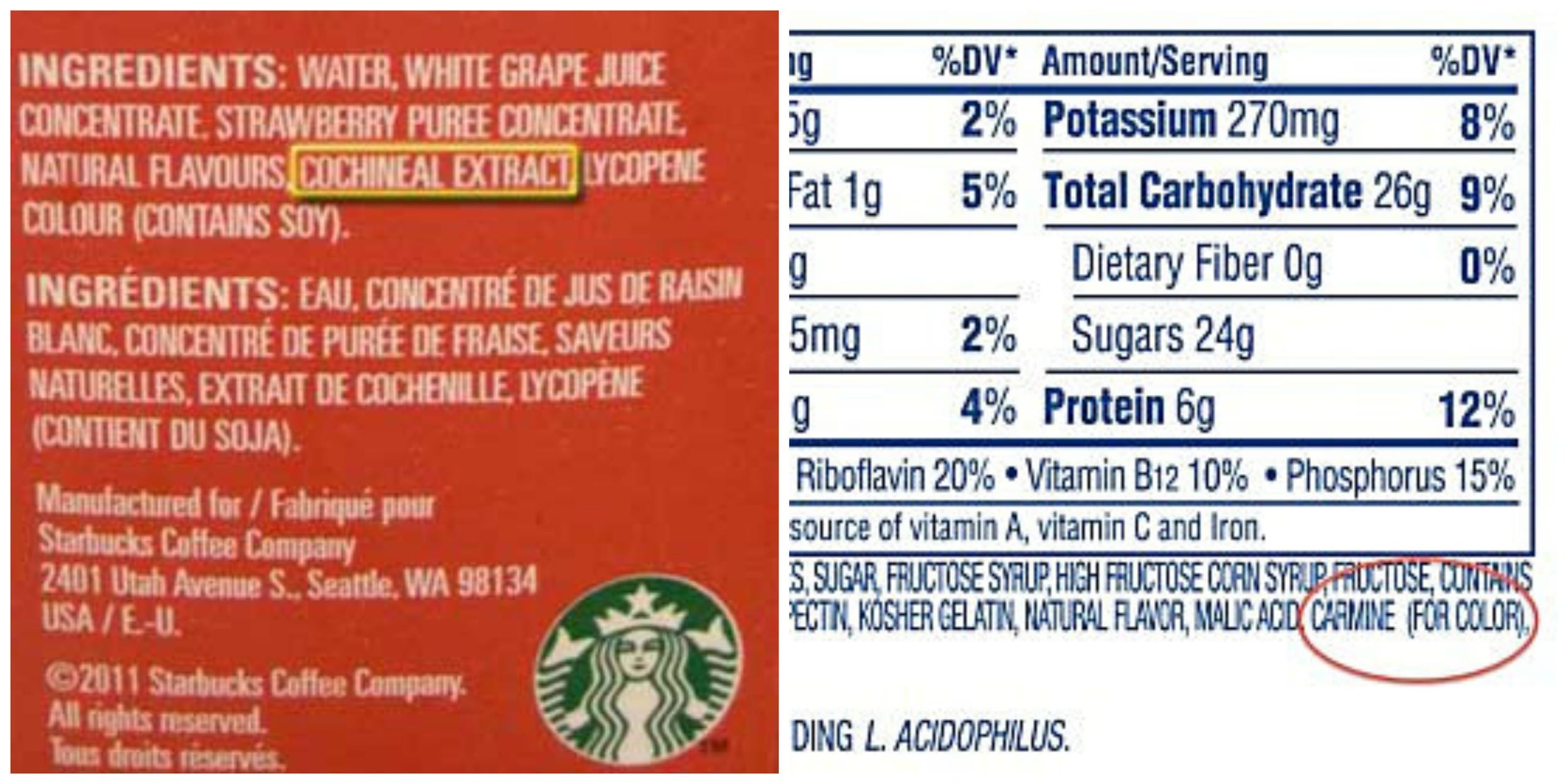 cochineal extract Archives - Rapid Pest Solutions